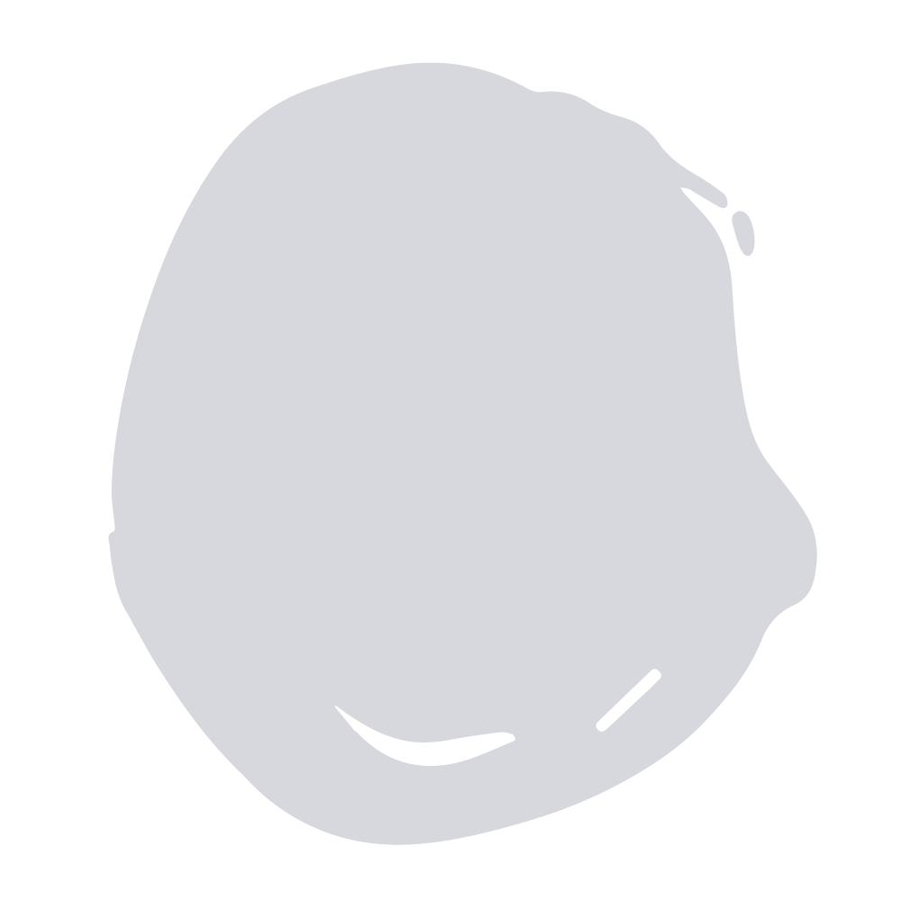 Soft Steel - Colorbank