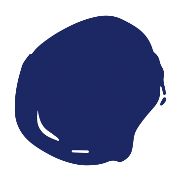 Signal Blue - Colorbank